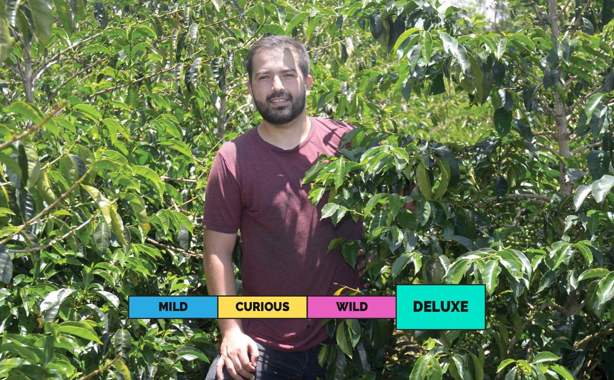 LIMITED | HONDURAS | Benjamin Paz | Geisha | DRD Natural – Proud Mary ...