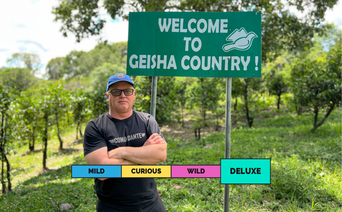 LIMITED | PANAMA | Janson Farms - Los Alpes #608 | Geisha | Natural ...