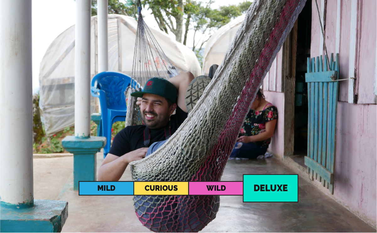 LIMITED | HONDURAS | Benjamin Paz | La Salsa | Geisha | Natural – Proud ...