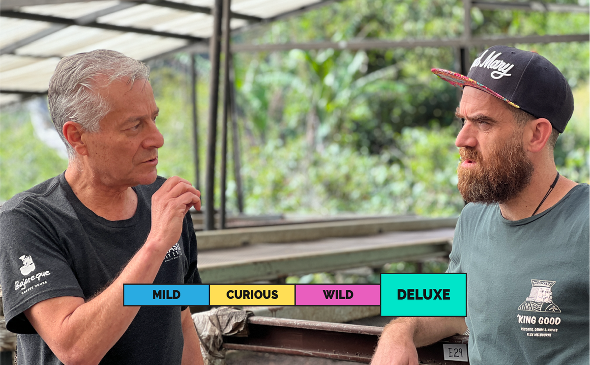 LIMITED | PANAMA | Elida Estate | Loma Centro | Geisha | Washed – Proud ...